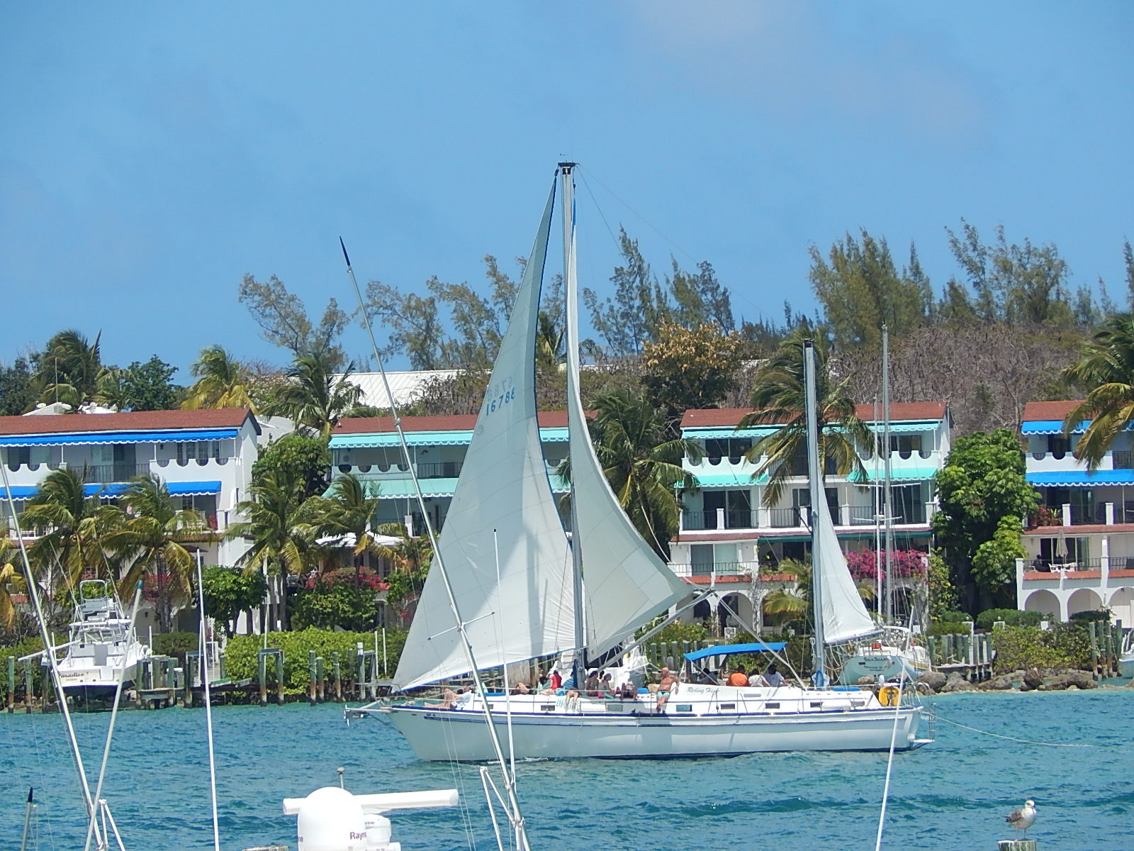 Home - Barefoot Sailing Cruises
